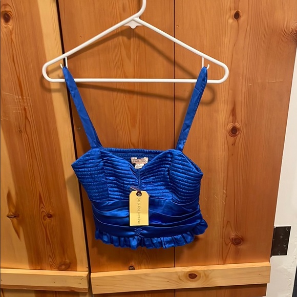 Bog Collective | Tops | Nwt Bog Collective Vibrant Blue Satin Crop Top ...